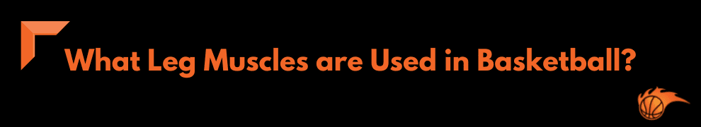 What Muscles Does Basketball Work? | Hoops Addict