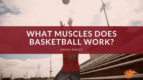 What Muscles Does Basketball Work? | Hoops Addict
