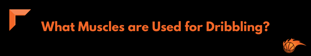 What Muscles Does Basketball Work? | Hoops Addict