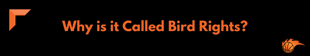 What Do Bird Rights Mean in the NBA? | Hoops Addict